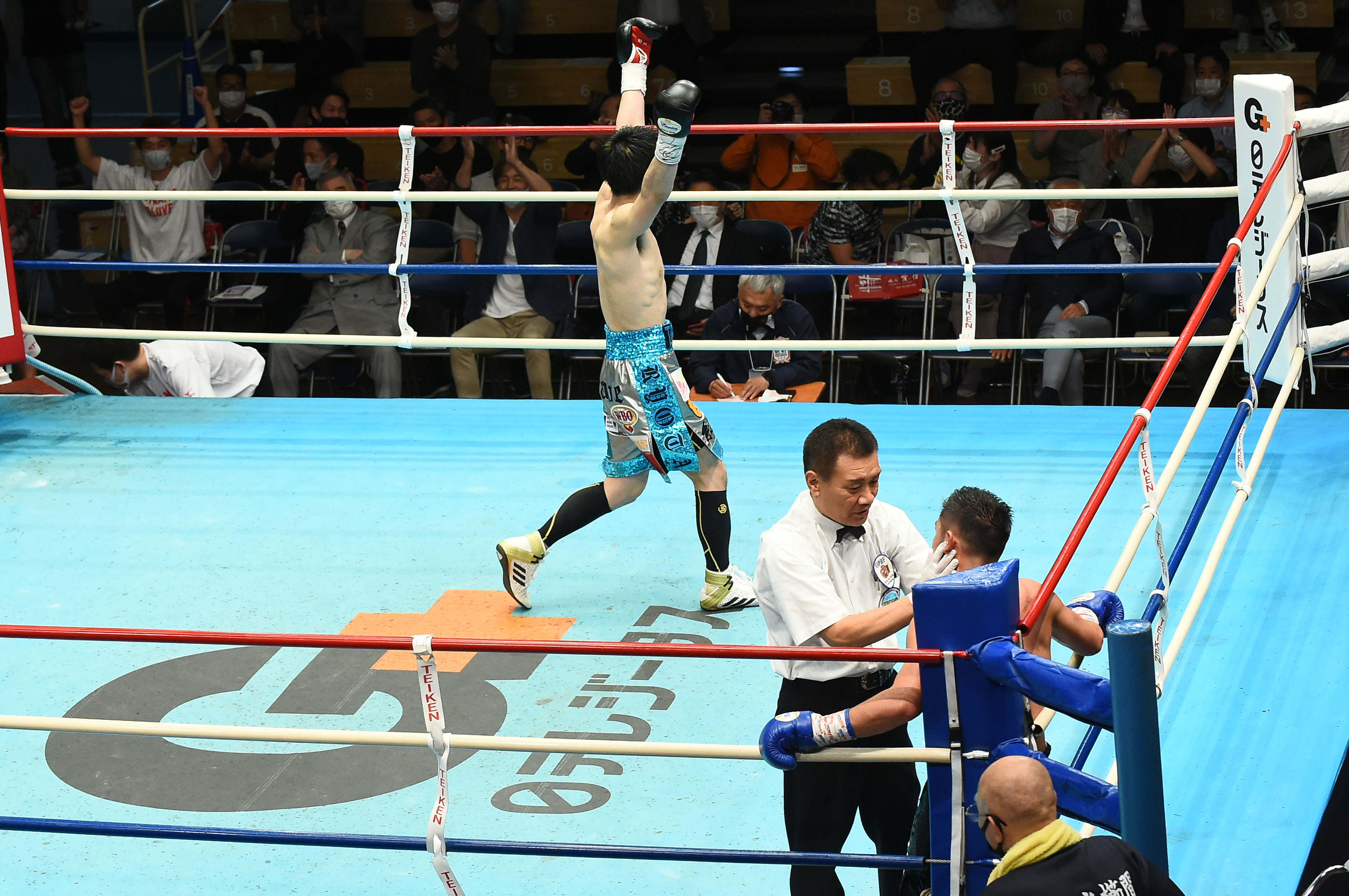 【ボクシング】ウェルター級王者決戦。豊嶋亮太が別府優樹をKO。OPBFに続きWBO・AP王座奪取 | BBMスポーツ | ベースボール･マガジン社